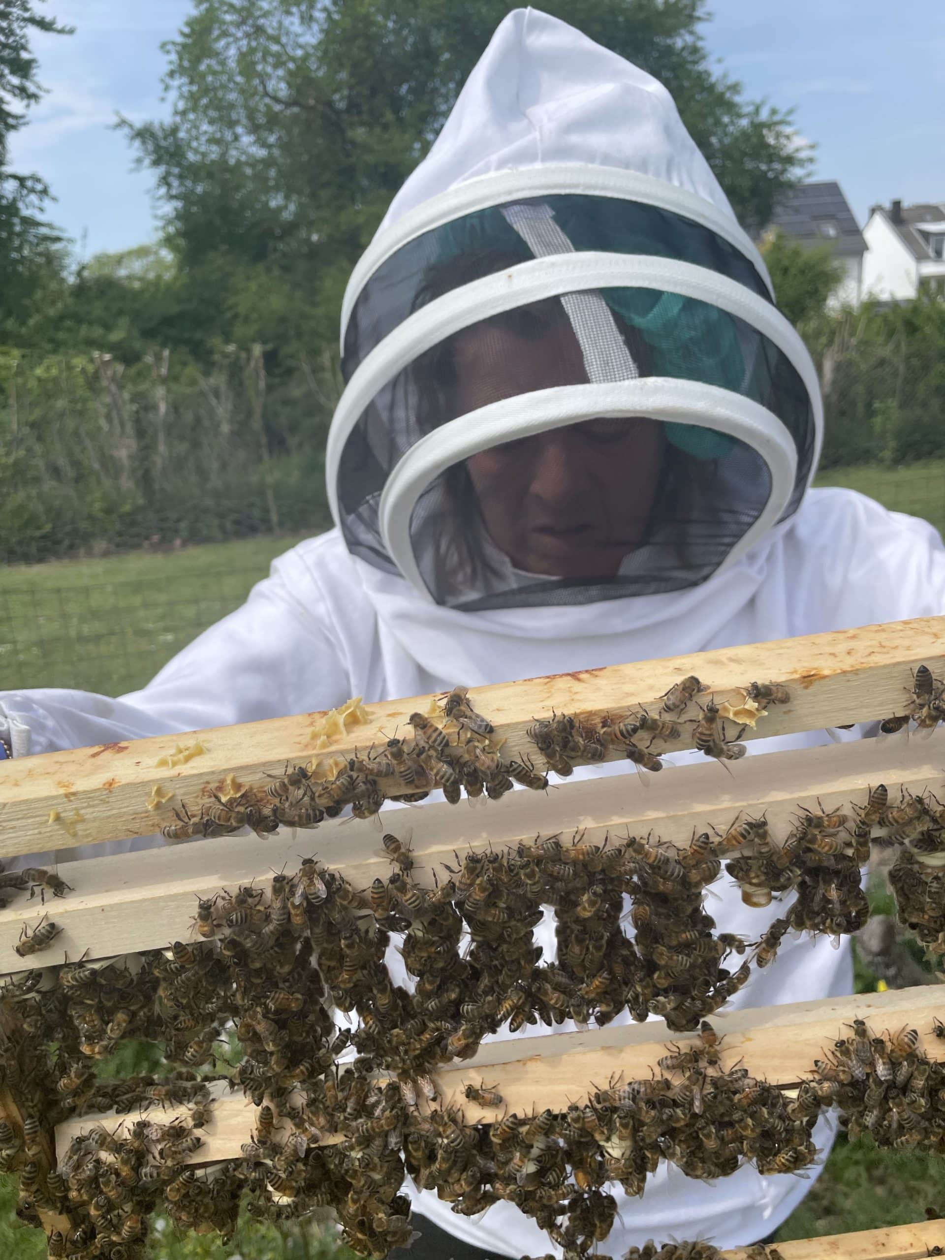 Imkerei Uhrich - Honig, Bienenprodukte und Bienenzucht